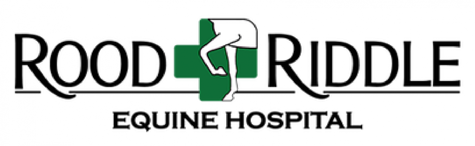 The Biggest Race Day Of The Year in South Florida - Florida Derby