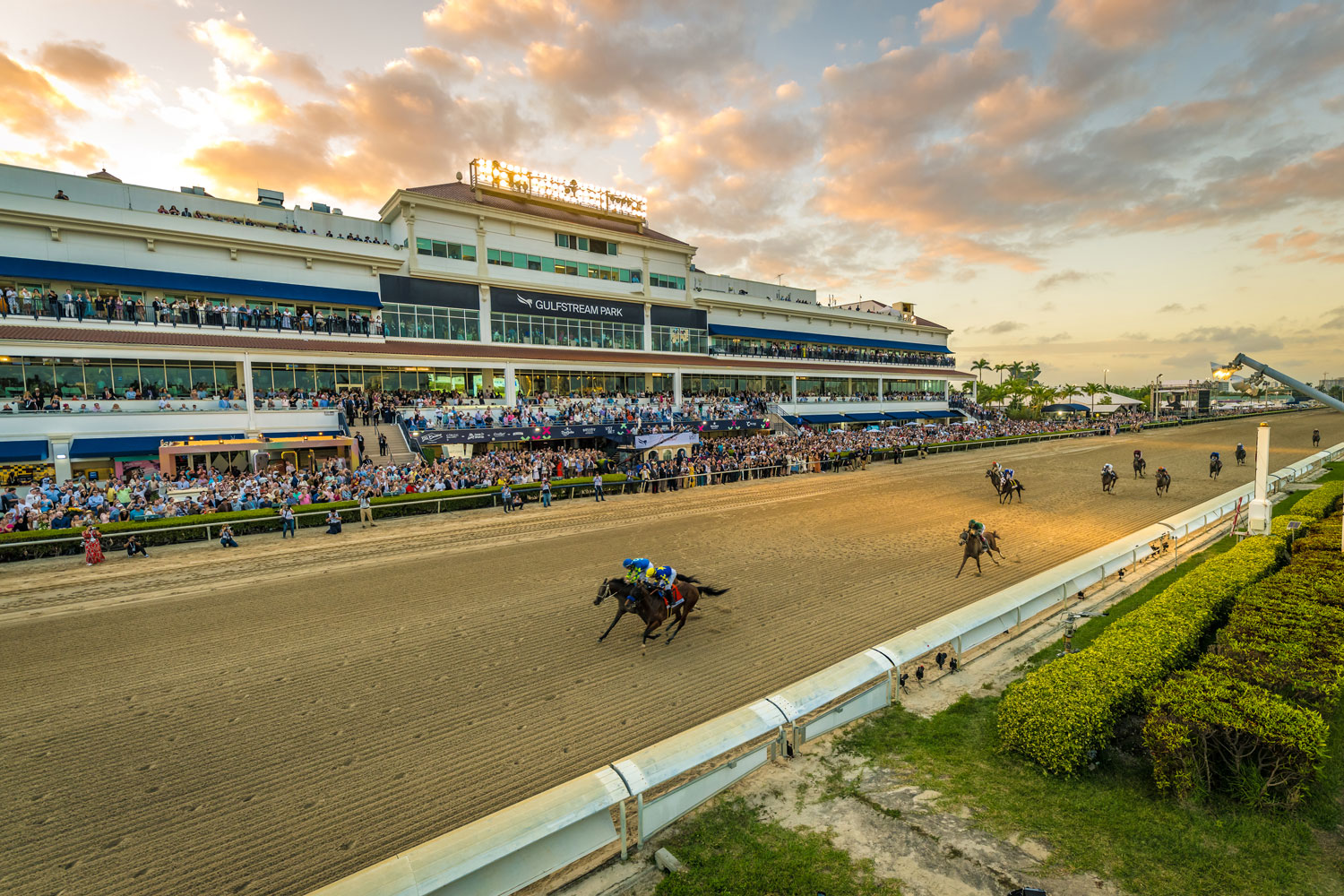 The Biggest Race Day Of The Year in South Florida - Florida Derby